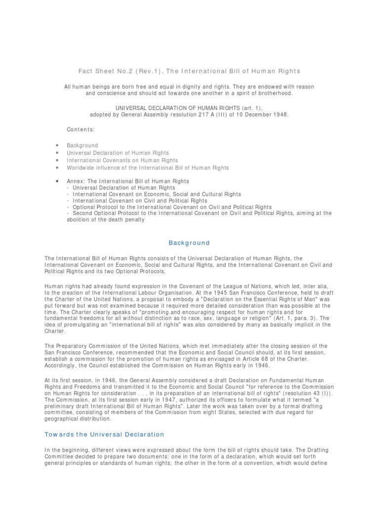 The International Bill of Human Rights | PDF | Human Rights | Social ...