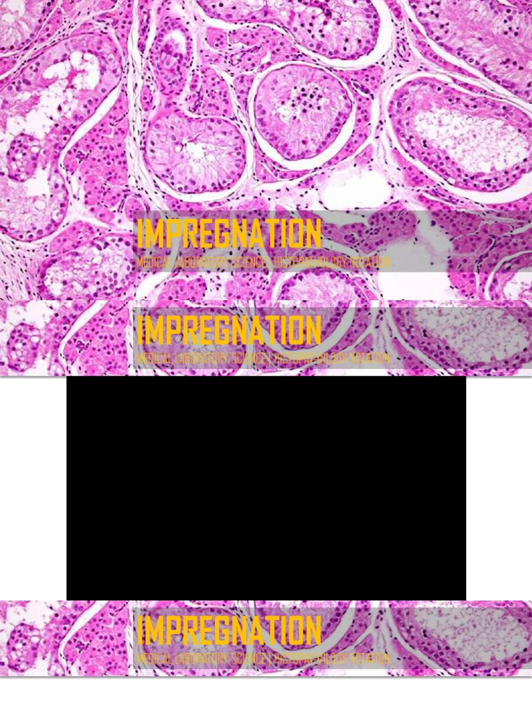 Histopathologic Techniques | PDF | Histopathology | Wax
