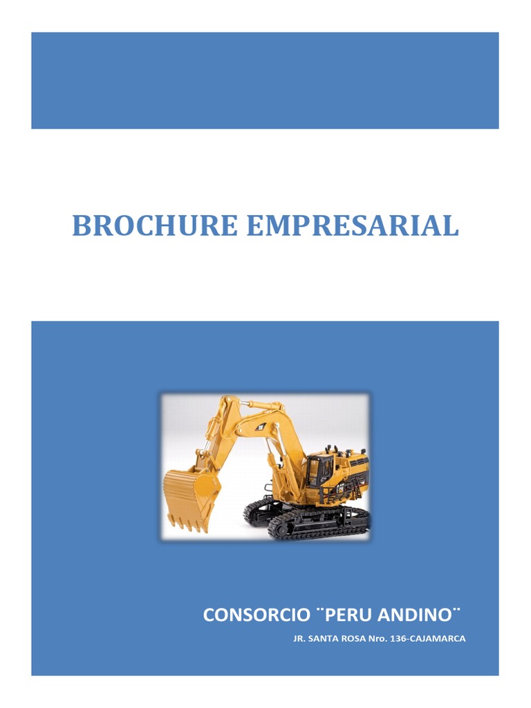 Consorcio Perú Andino: Servicios y Proyectos | PDF | Responsabilidad ...