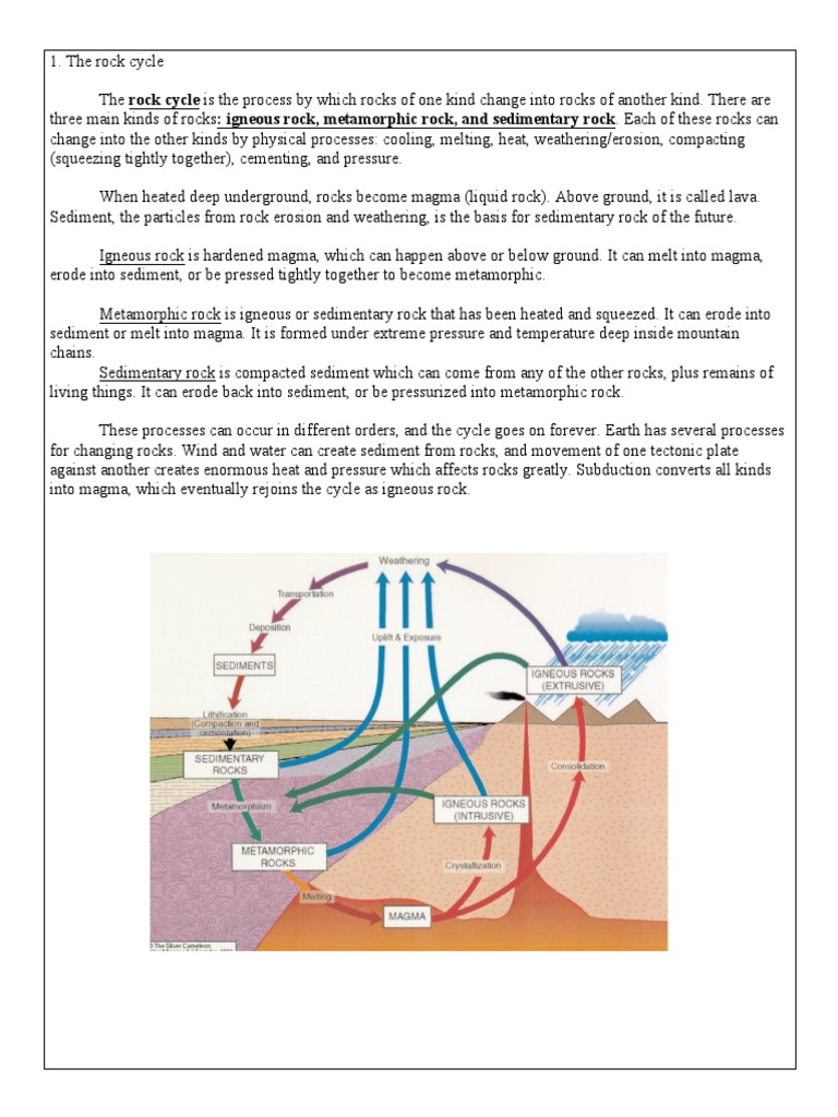 HW-1 (Rock Cycle) | PDF | Clastic Rock | Rock (Geology)