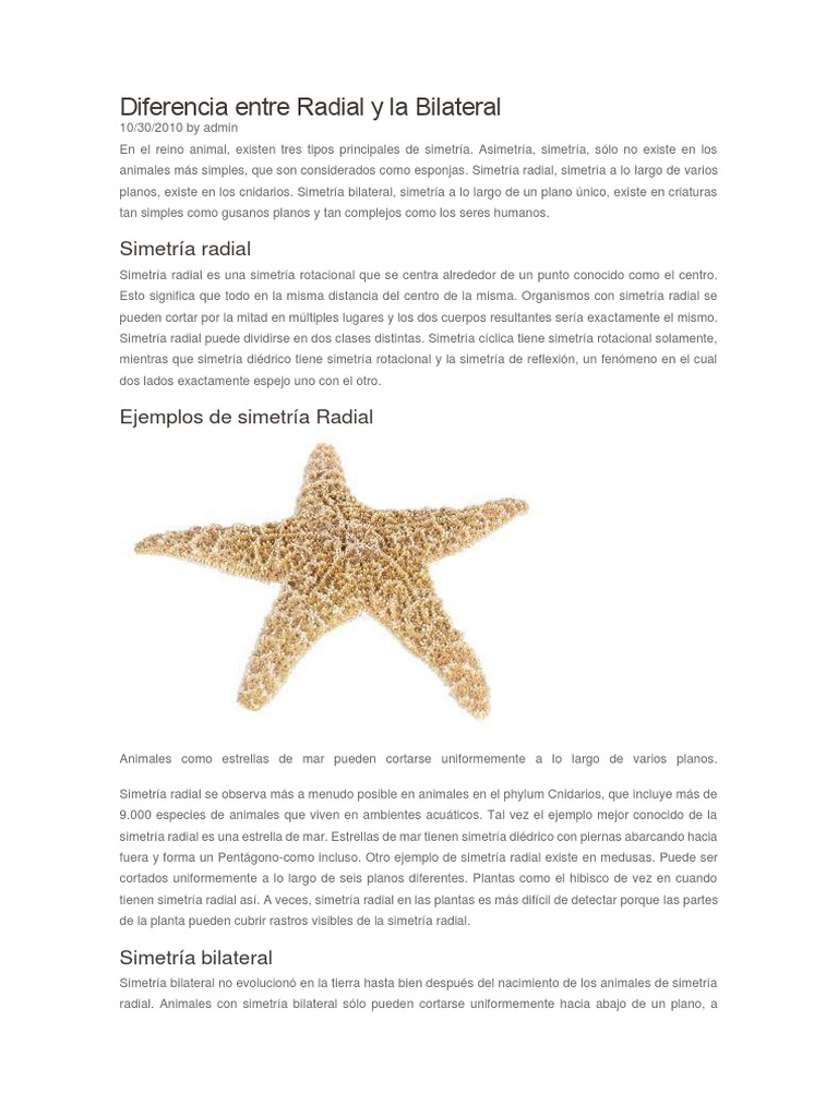 Diferencia Entre Simetria Radial y Bilateral | Simetría | Organismos