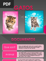 Texto Expositivo El Gato | PDF
