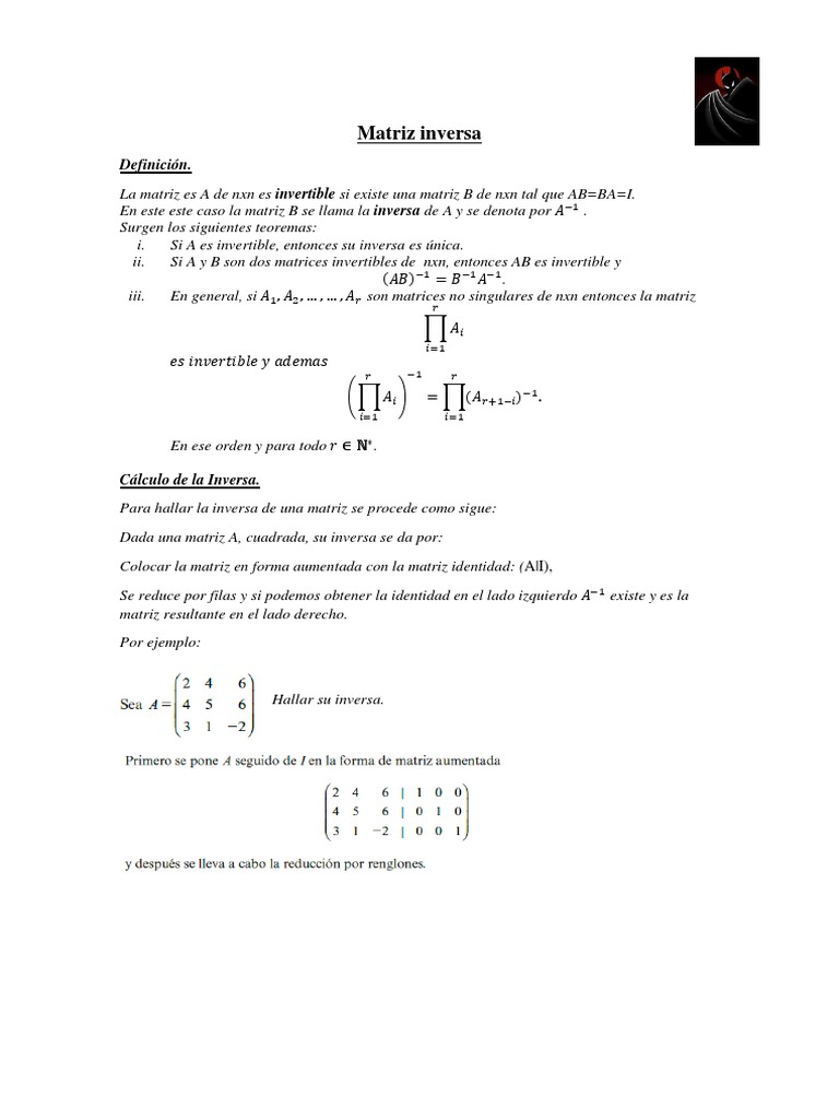Inversa de Matrices: Definición y Cálculo | PDF