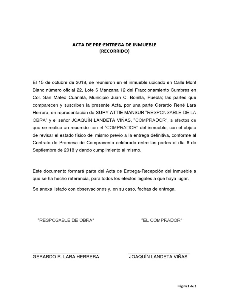 Acta de Pre-Entrega | PDF