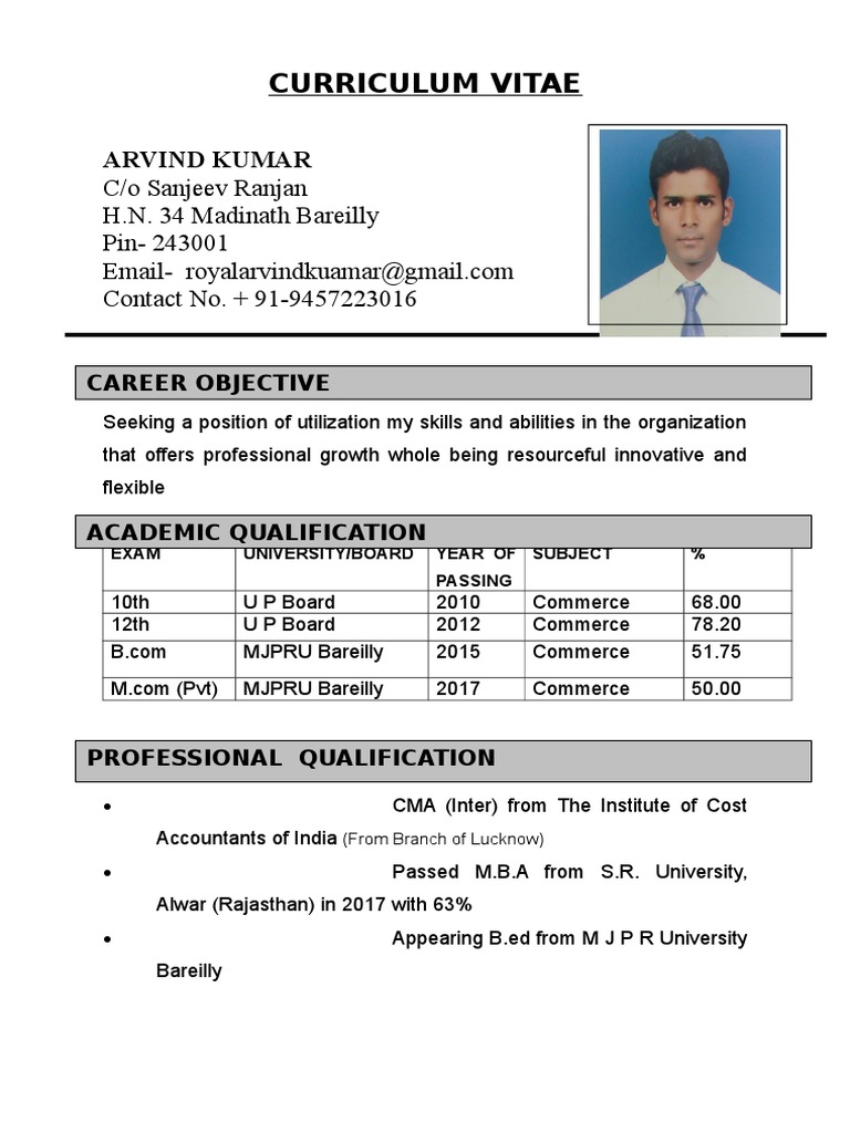 Arvind Kumar's Professional CV | PDF