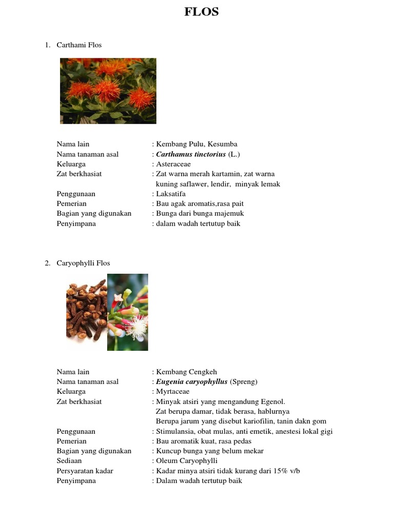 Jenis-jenis Flos dalam Farmakognosi | PDF | Griya & Taman | Kesehatan ...