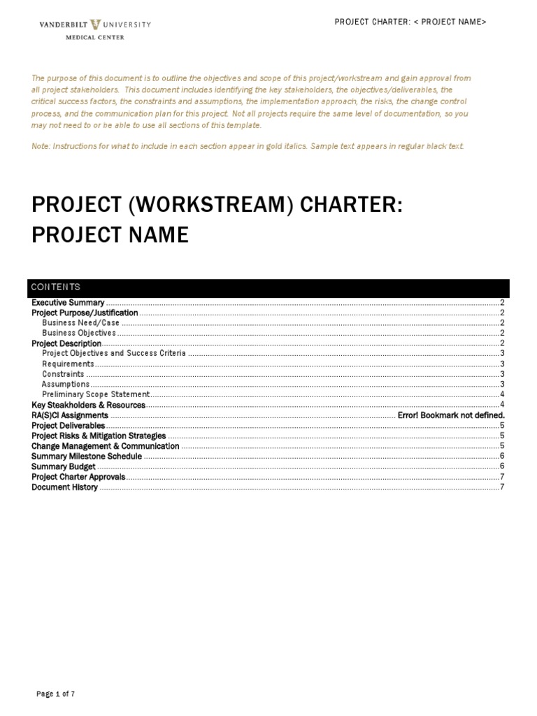 Project Charter Template | PDF | Computer Security | Security