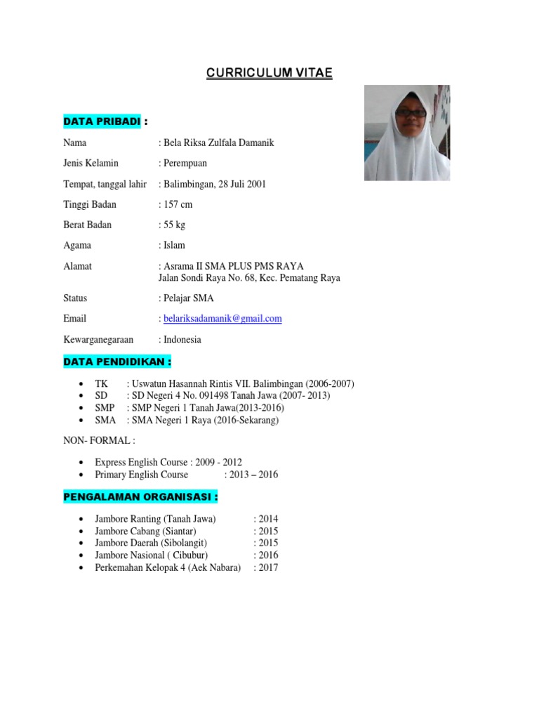 Curriculum Vitae Bela | PDF