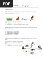 3rd Grade - Food Chain Worksheet | PDF
