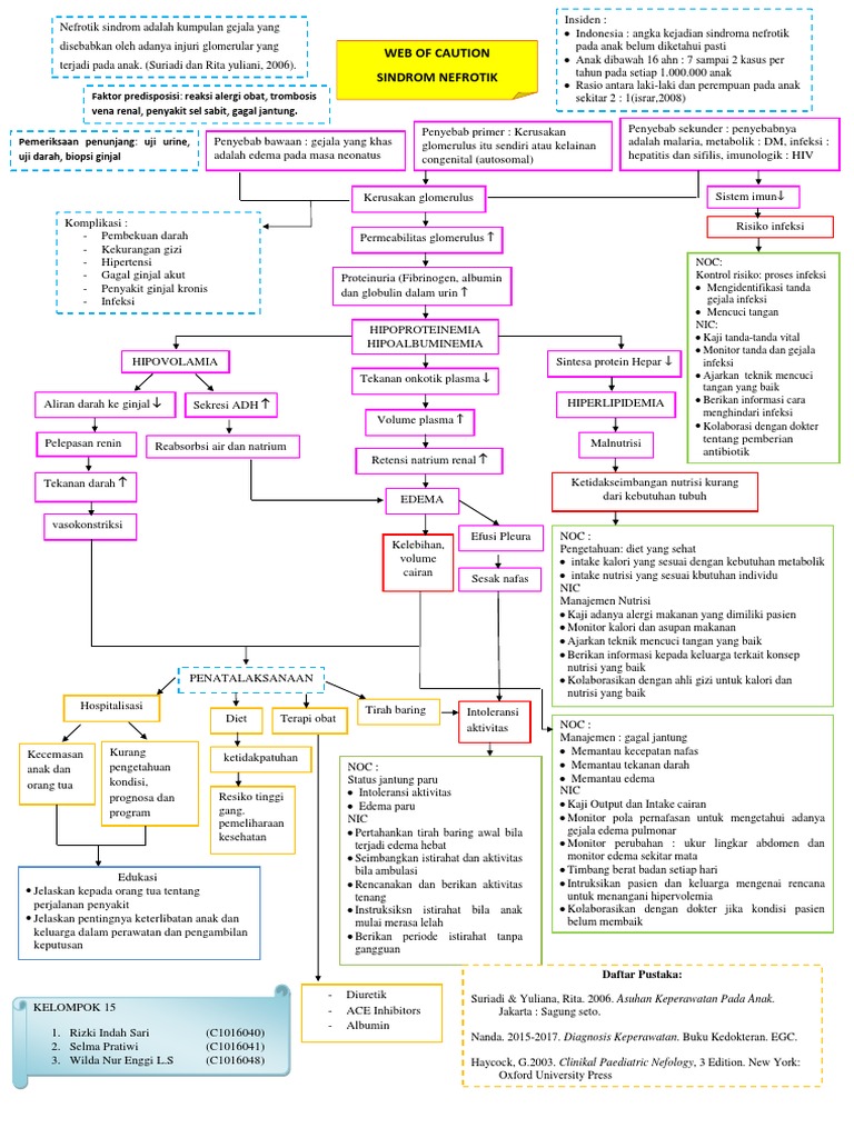 WOC Sindrom Nefrotik | PDF