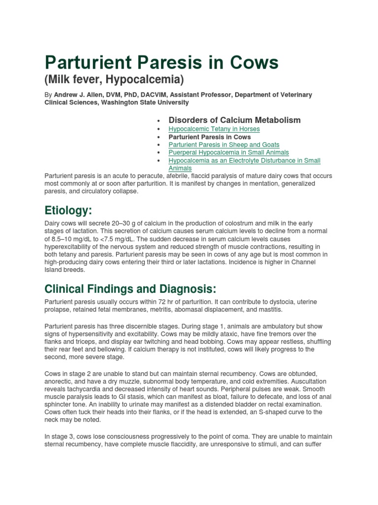 Understanding Parturient Paresis in Cows | PDF | Wellness | Medical