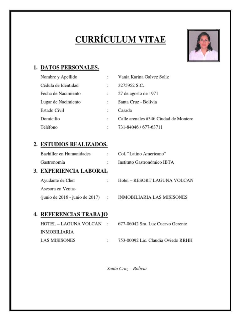 Curriculum Vitae Karina | PDF