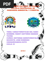 LUPUNA | PDF | Madera | Arboles