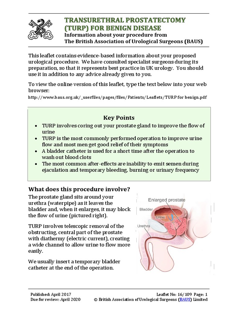 Basic Clinical Urology | PDF | Surgery | Urology