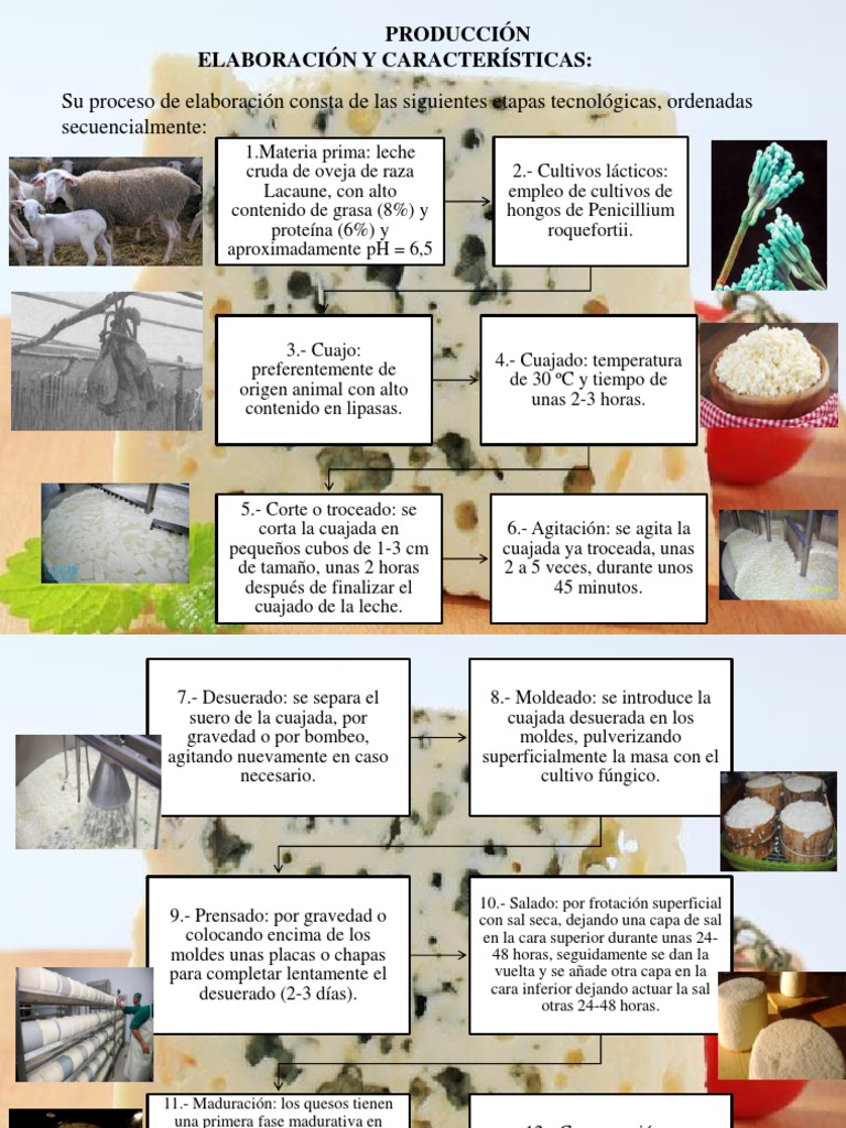 Proceso de Elaboración del Queso Roquefort | PDF | Queso | Leche