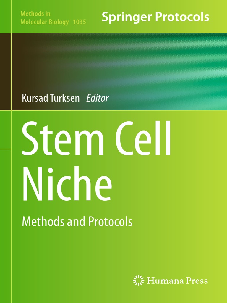 stem-cell-niche-pdf-life-sciences-biology