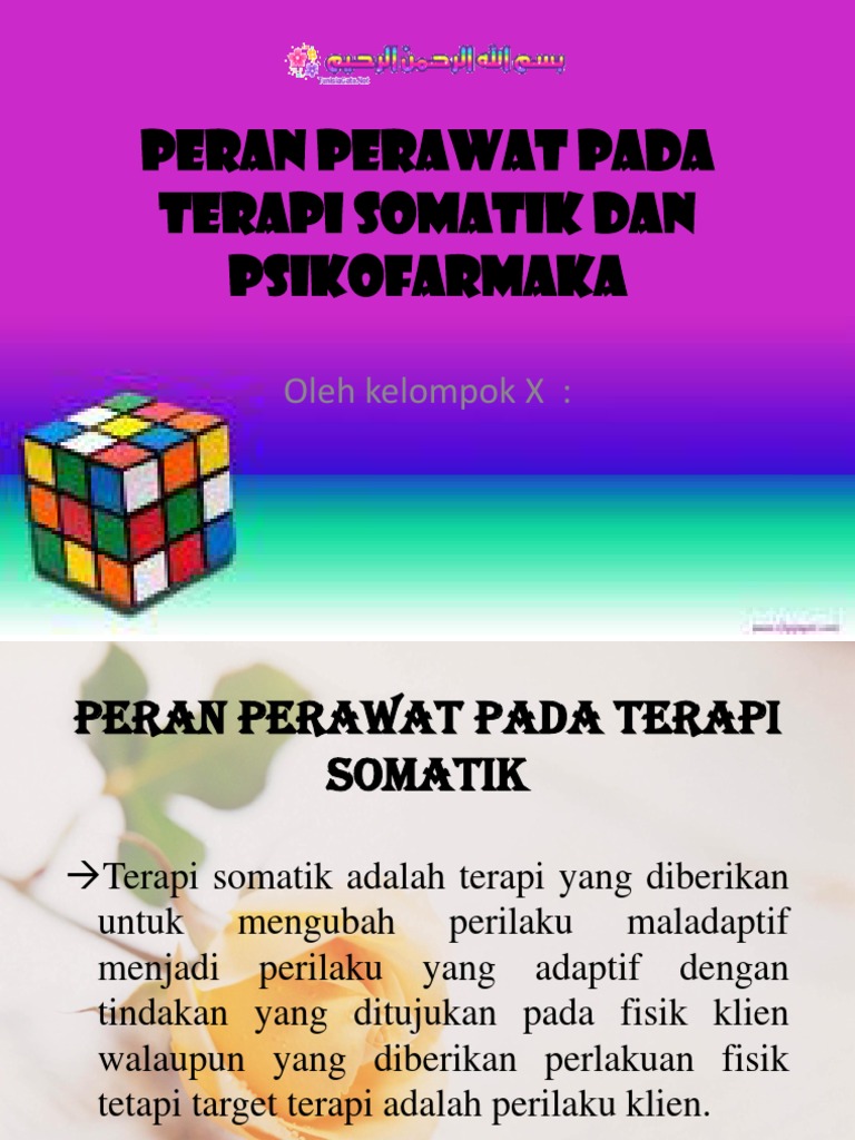 Peran Perawat Pada Terapi Somatik Dan Psikofarmaka | PDF