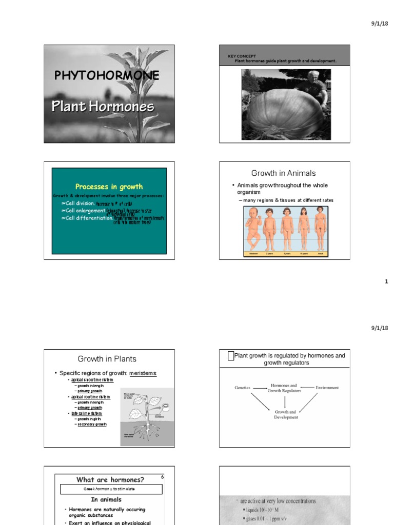 Phytohormone: Growth in Animals | PDF | Plant Hormone | Hormone