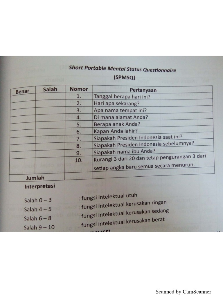 Kerusakan Intelektual-Spmsq | PDF