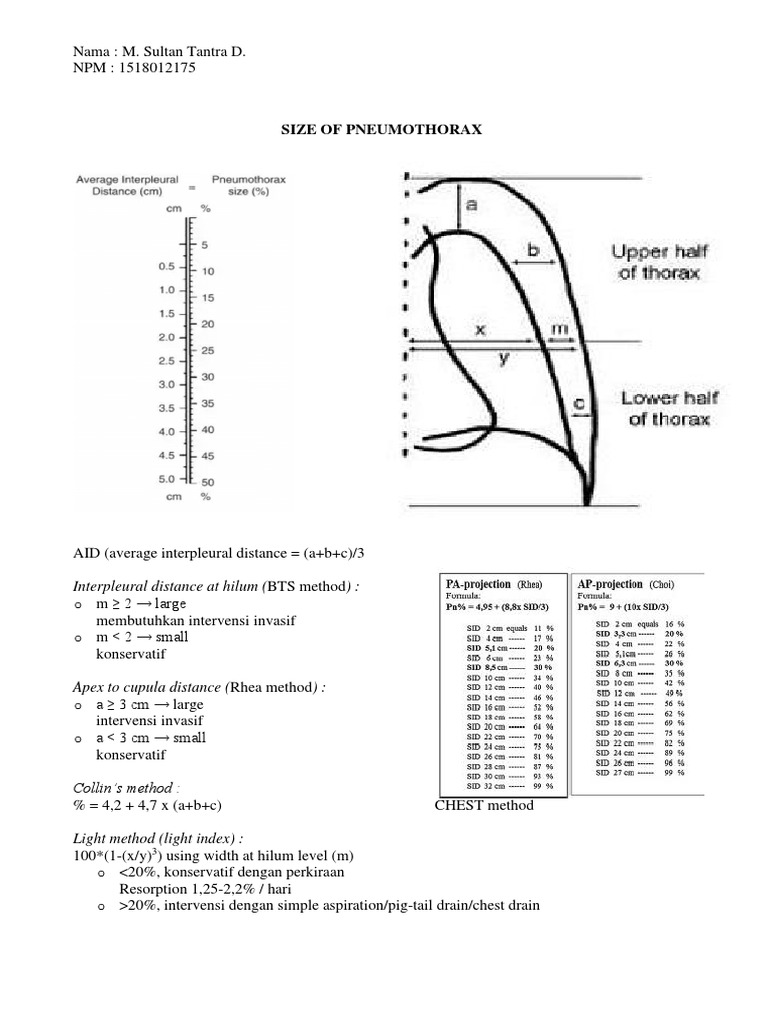 Pneumothorax Size Measurement Methods | PDF | Wellness