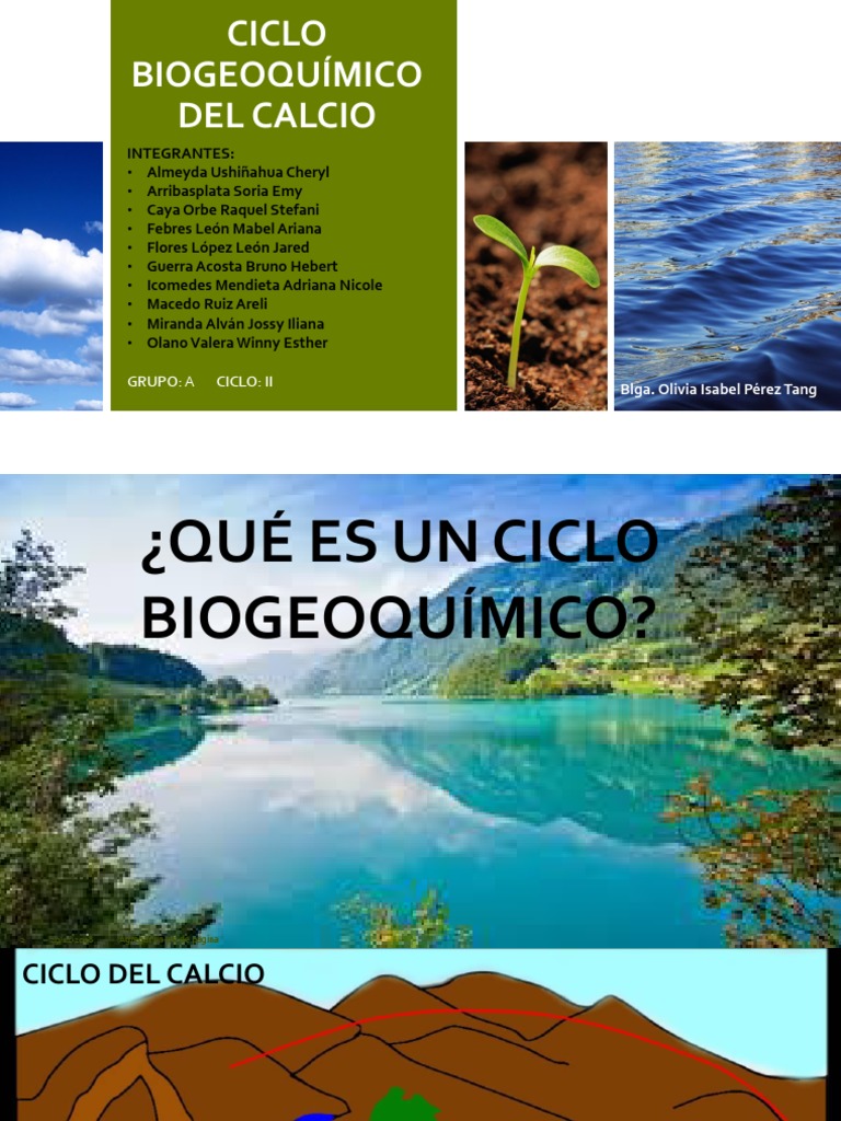Ciclo Biogeoquímico Del Calcio | Ciencias de la tierra y de la vida | Naturaleza
