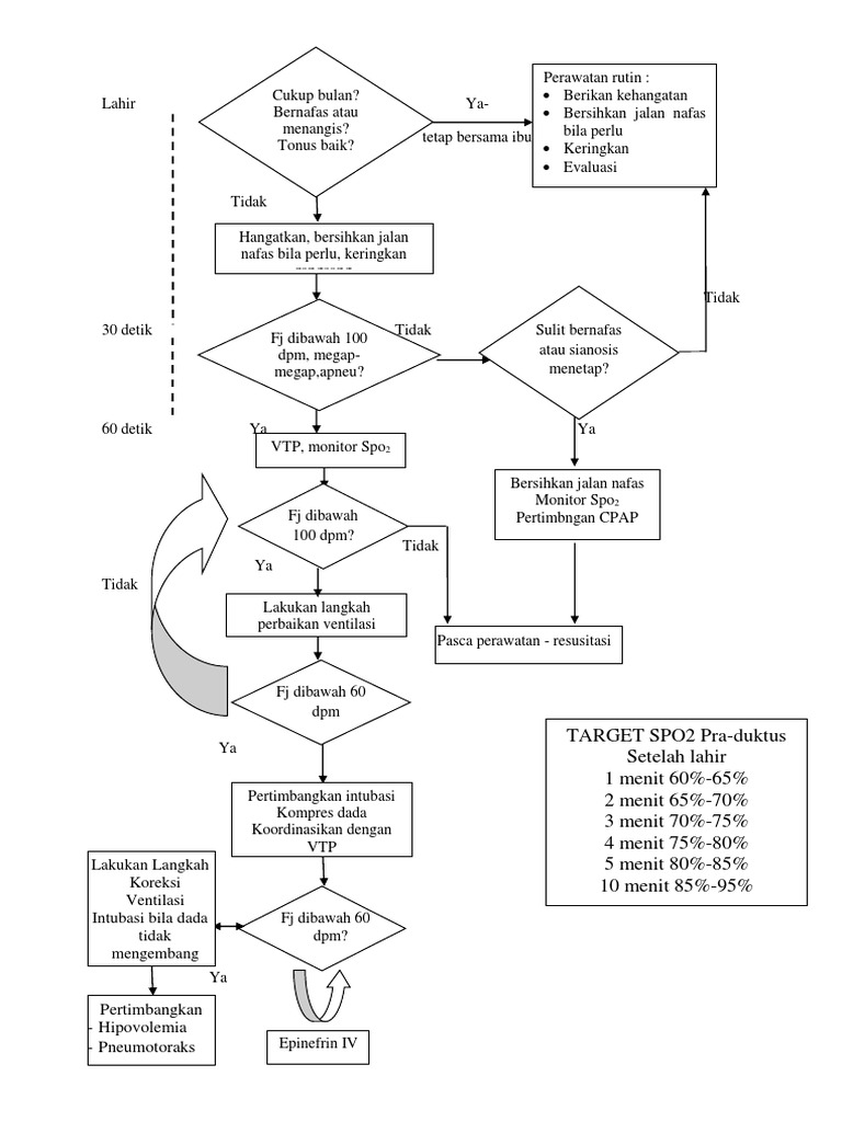 Neonatal Resuscitation Guidelines | PDF