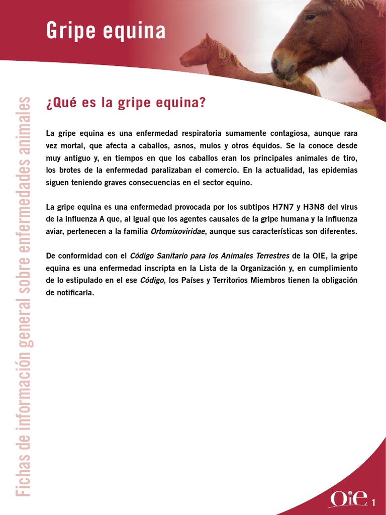 Influenza Equina PDF | PDF | Influenza | Virus