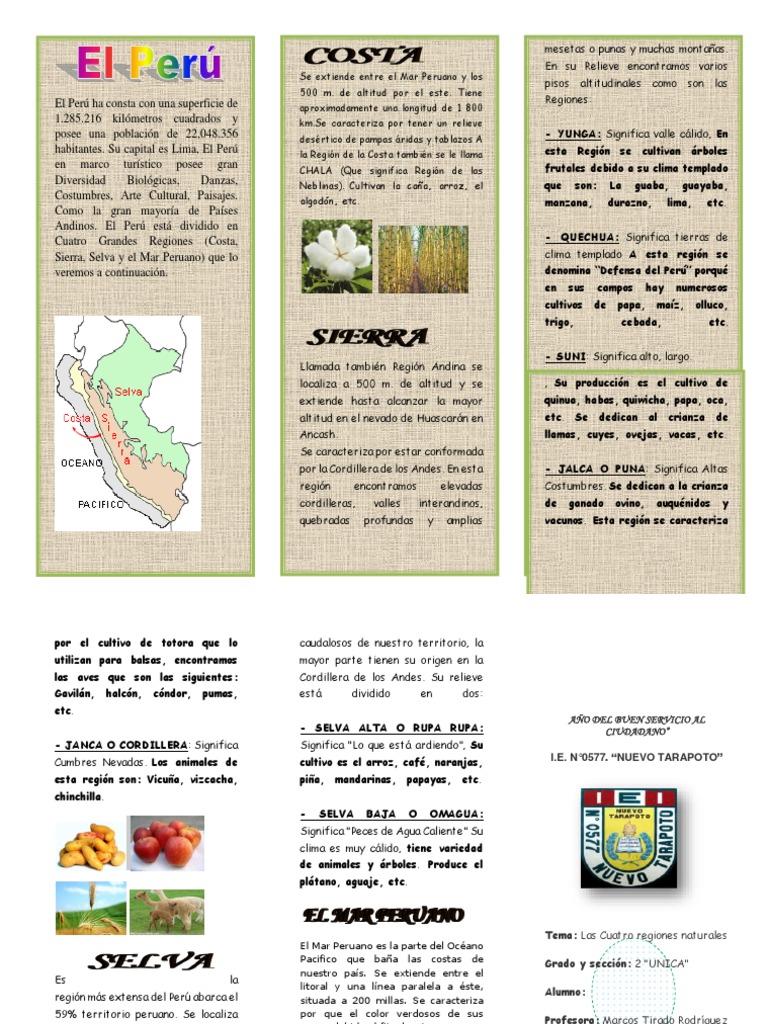 Triptico Las Cuatro Regiones Del Peru | PDF | Andes | Perú