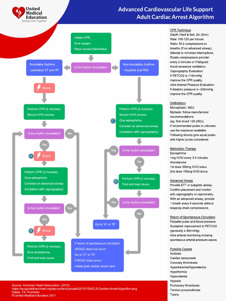 ACLS Adult Cardiac Arrest Algorithm PDF | PDF | Anime