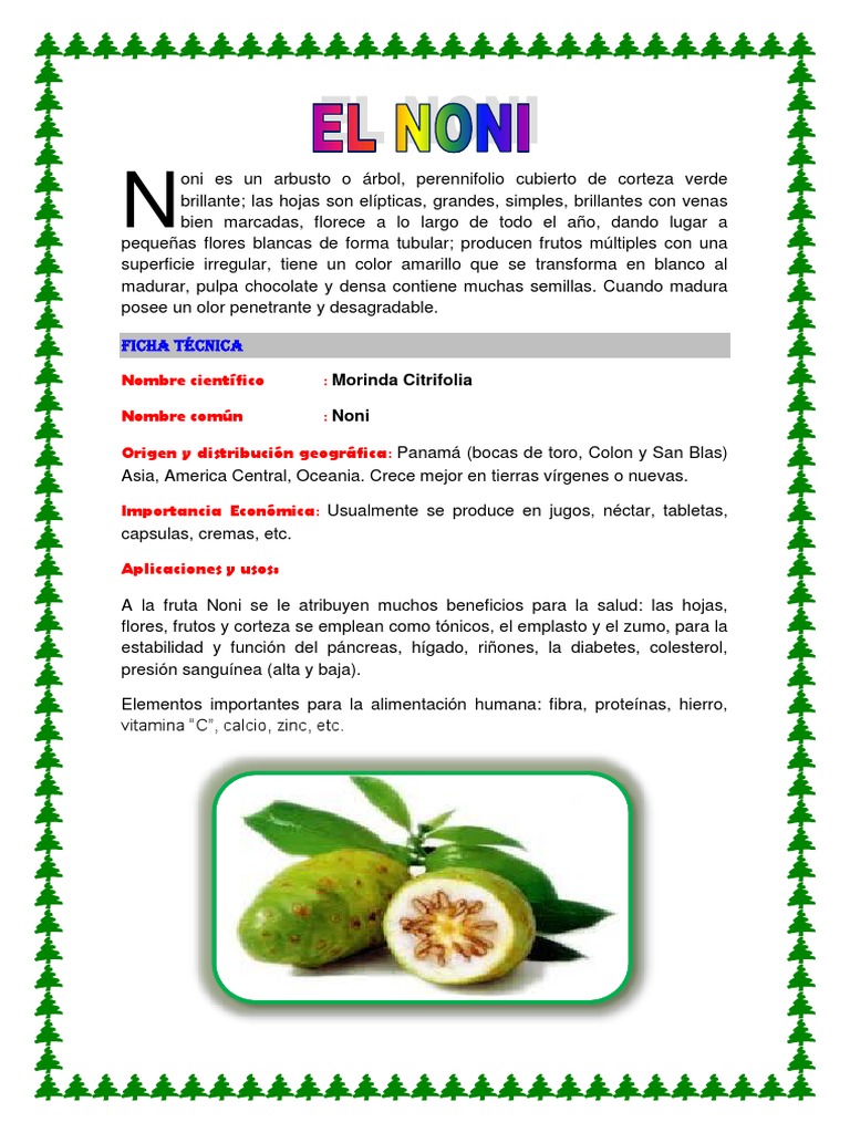 Noni | PDF
