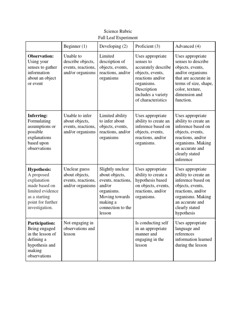 Science Experiment Rubric for 5th Grade | PDF | Hypothesis | Experiment