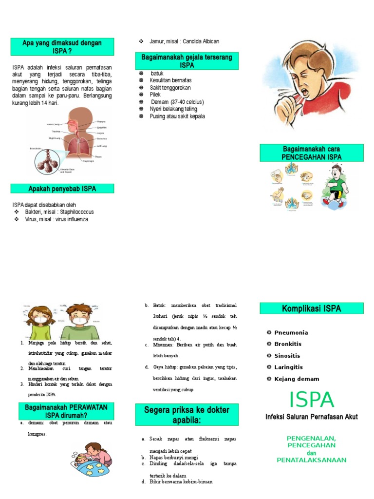 Leaflet Ispa | PDF
