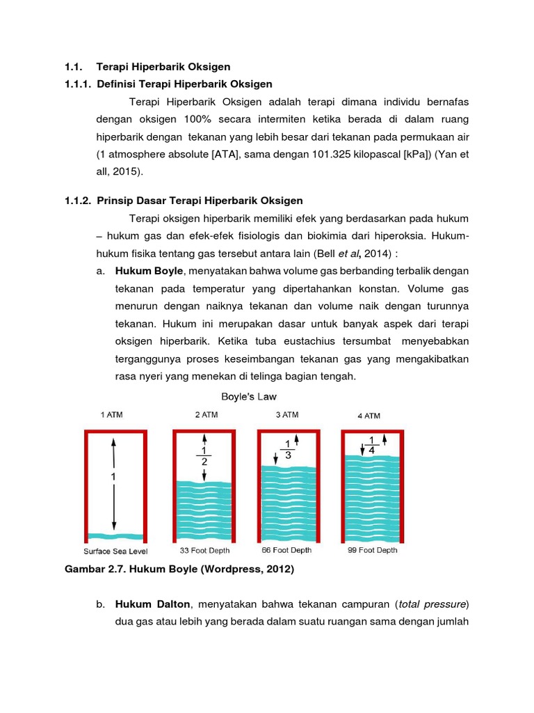 Terapi Hiperbarik Oksigen | PDF