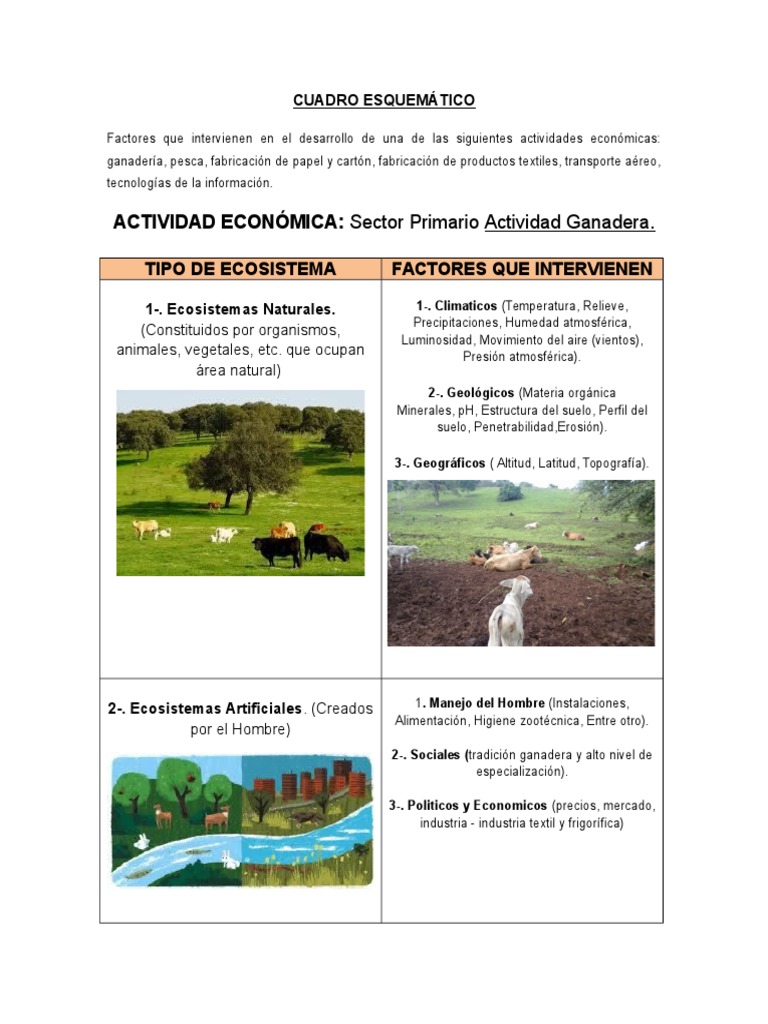 Cuadro Esquemático | PDF