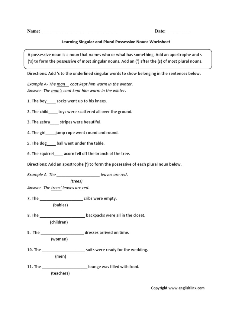 Learning Singular Plural Possessive Nouns Worksheet PDF | PDF | Plural ...