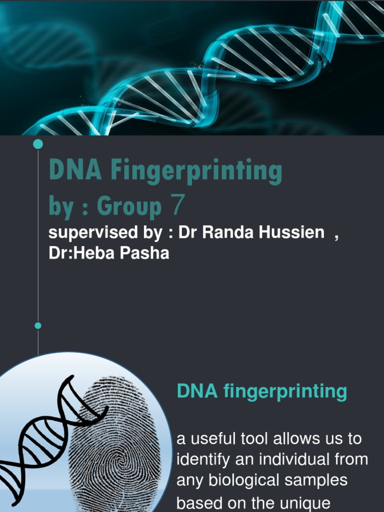 Presentation DNA Fingerprinting | PDF | Dna Profiling | Microsatellite