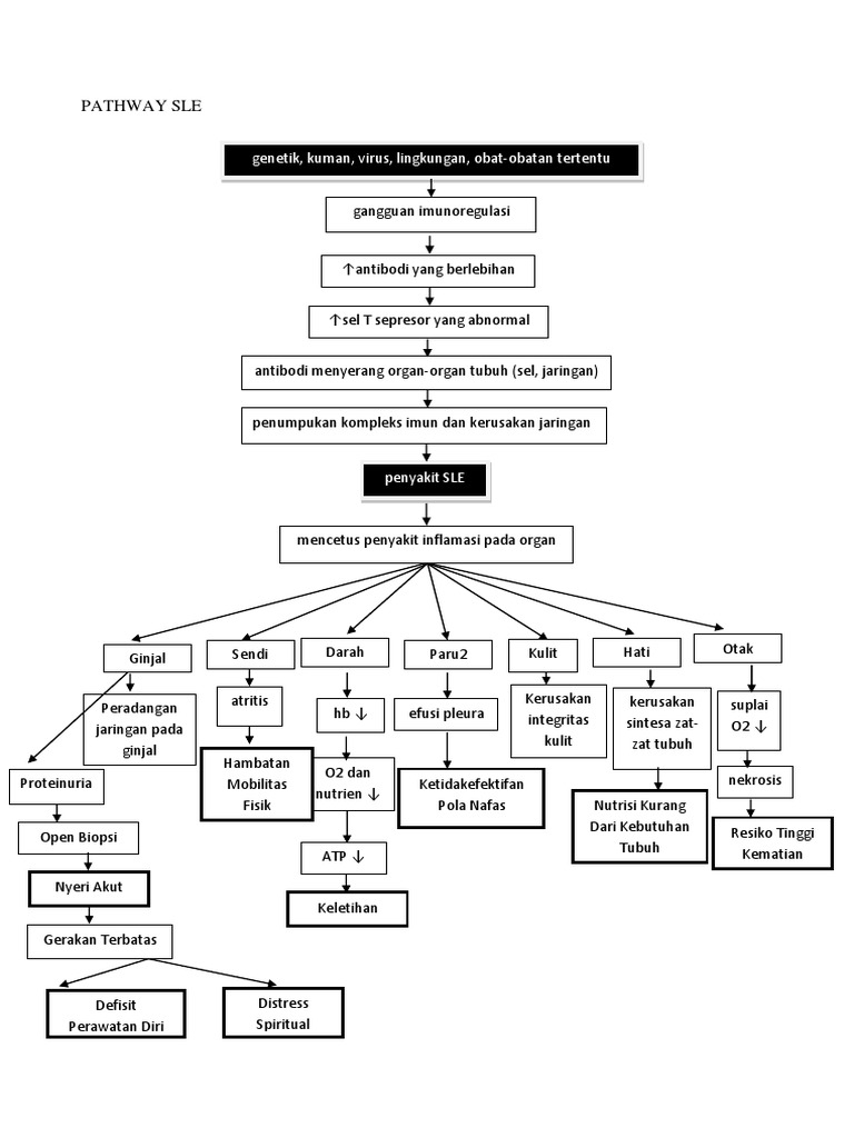 Pathway Sle | PDF