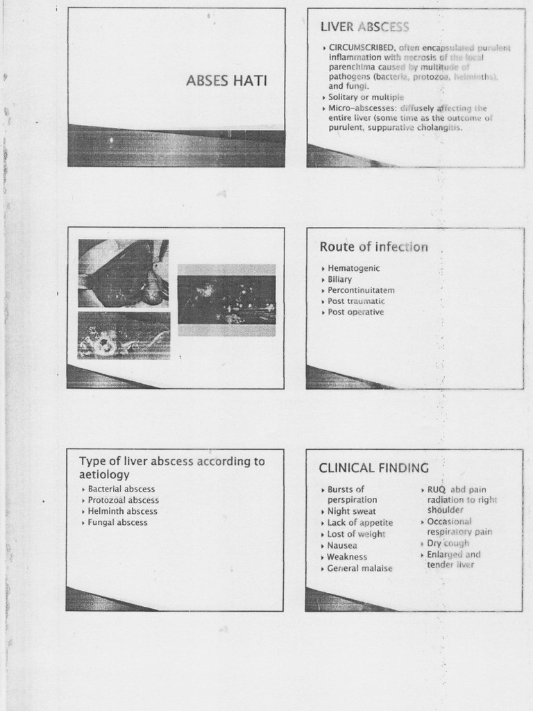 Abses Hati | PDF | Clinical Medicine | Medical Specialties