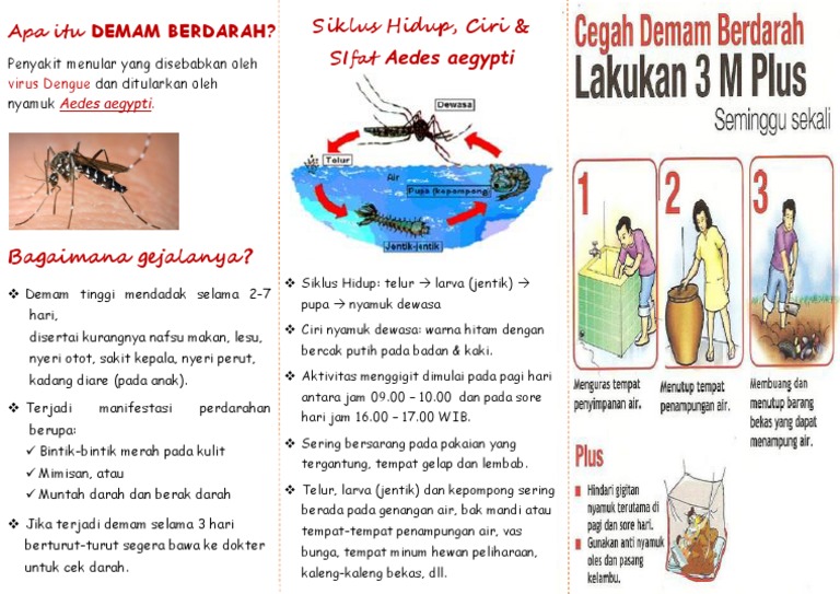 Leaflet DBD | PDF