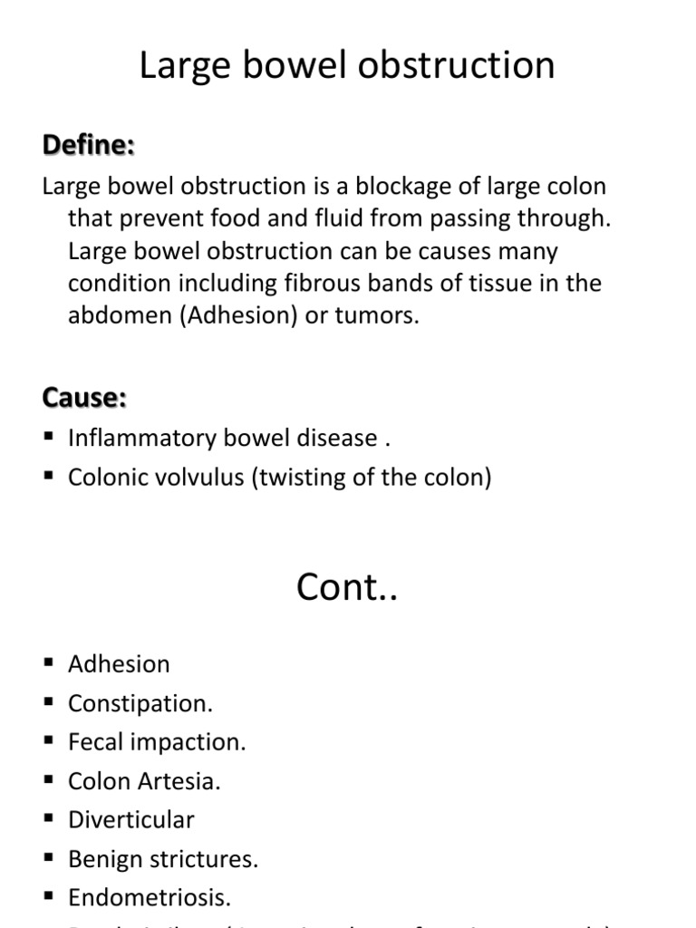 Understanding Large Bowel Obstruction | PDF | Digestive System ...