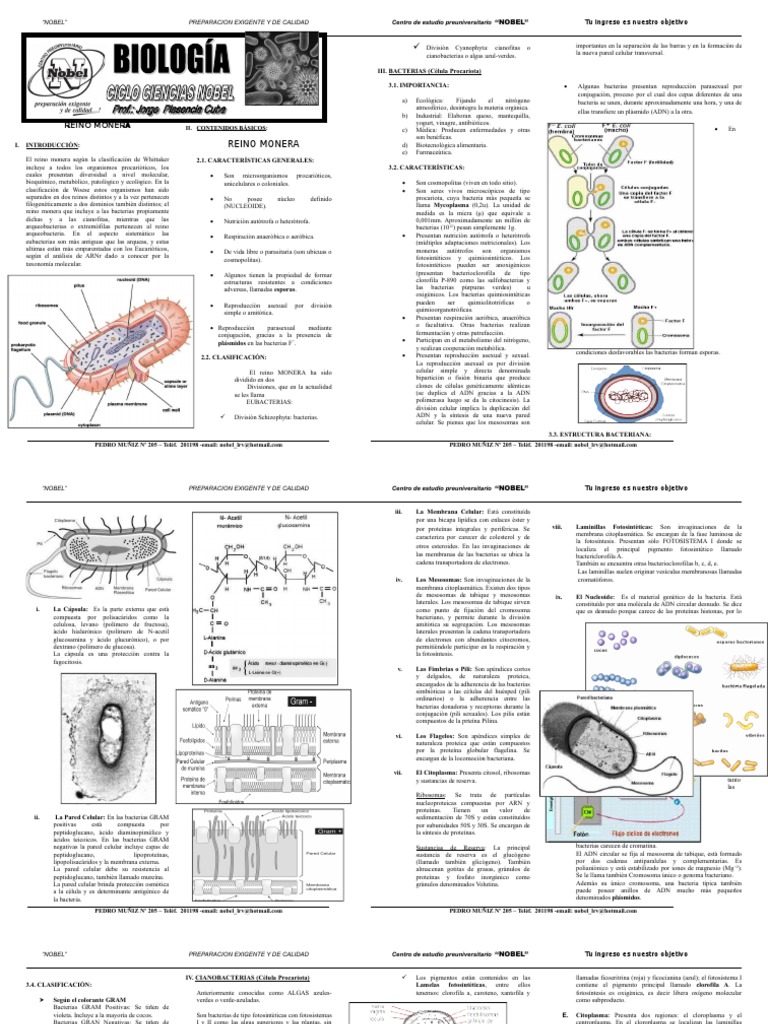 Organismos Procarióticos | PDF | Las bacterias | Cianobacterias
