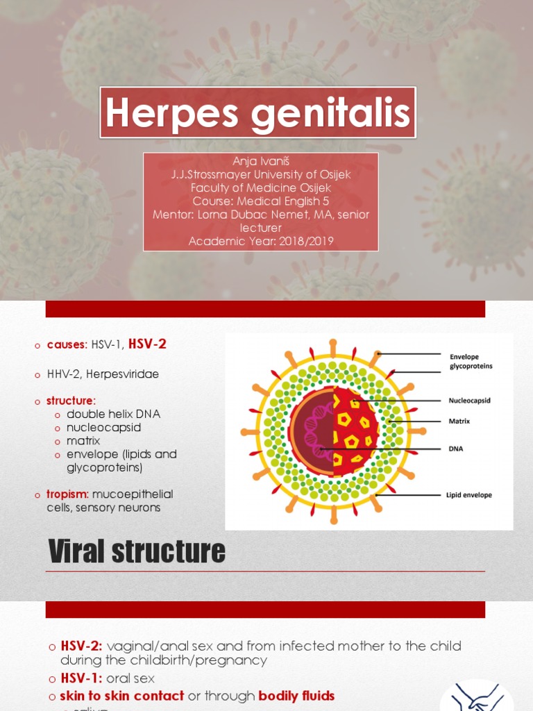 Herpes Genitalis | PDF | Herpes Simplex | Immunology