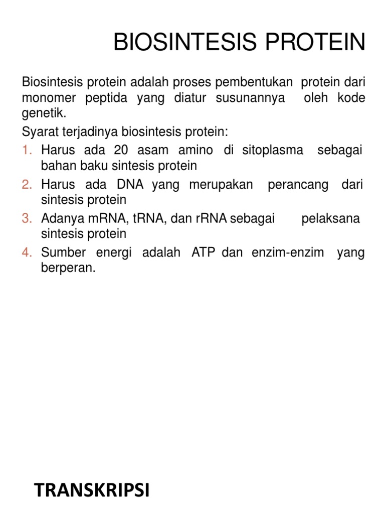 Biosintesis Protein | PDF