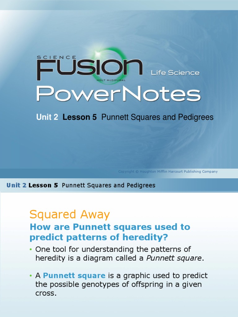 Lesson 5 - Punnett Squares and Pedigrees | PDF | Heredity | Organisms