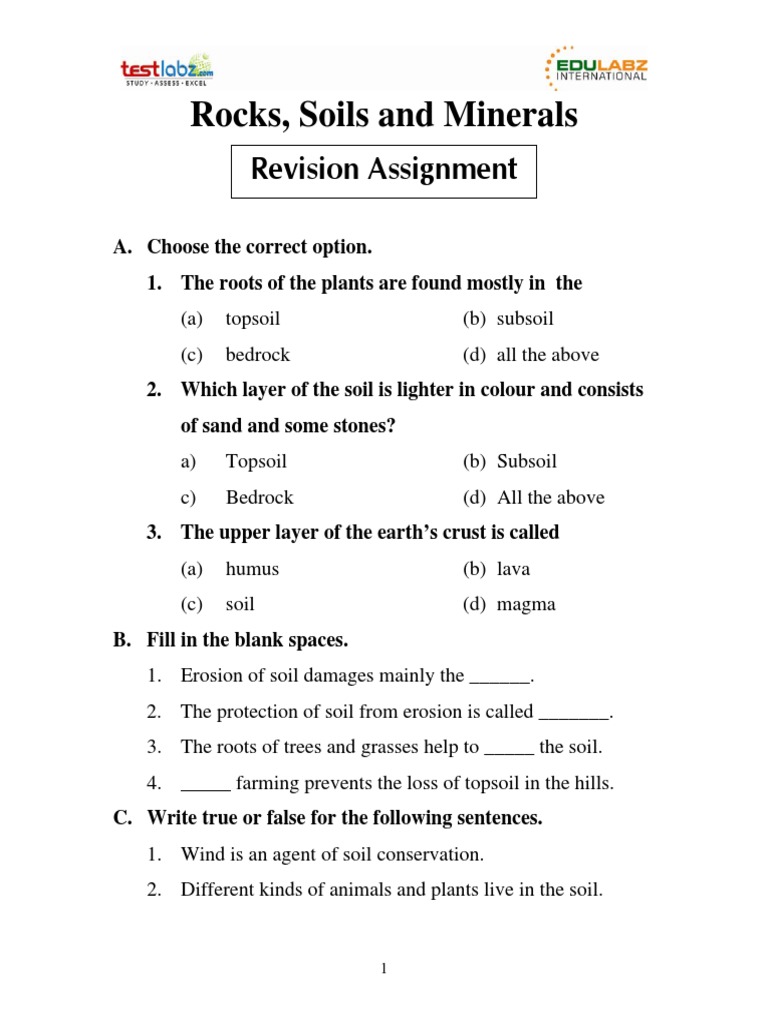 Rocks, Soils and Minerals: Revision Assignment | PDF