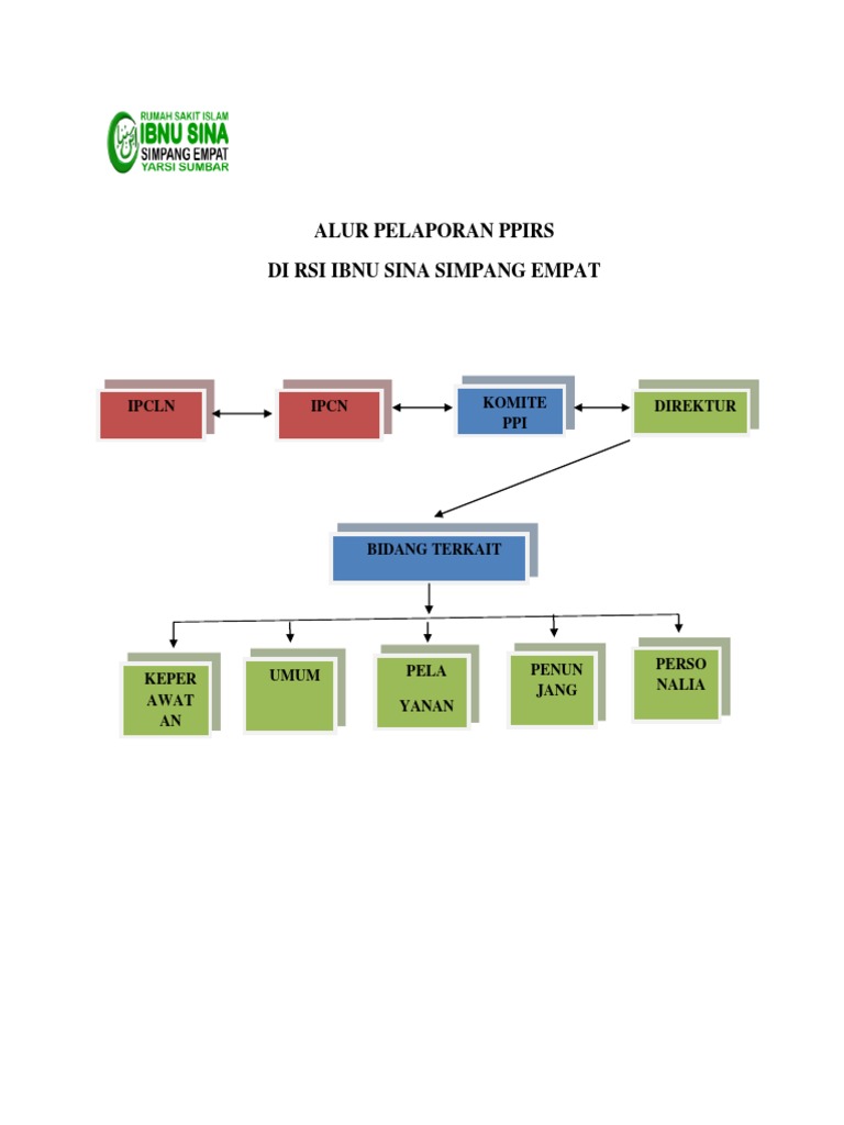 Alur Pelaporan Ppi | PDF