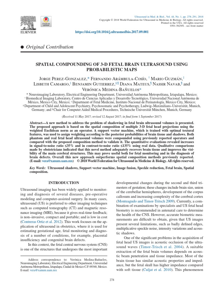 Spatial Compounding 2 | PDF | Support Vector Machine | Medical Ultrasound