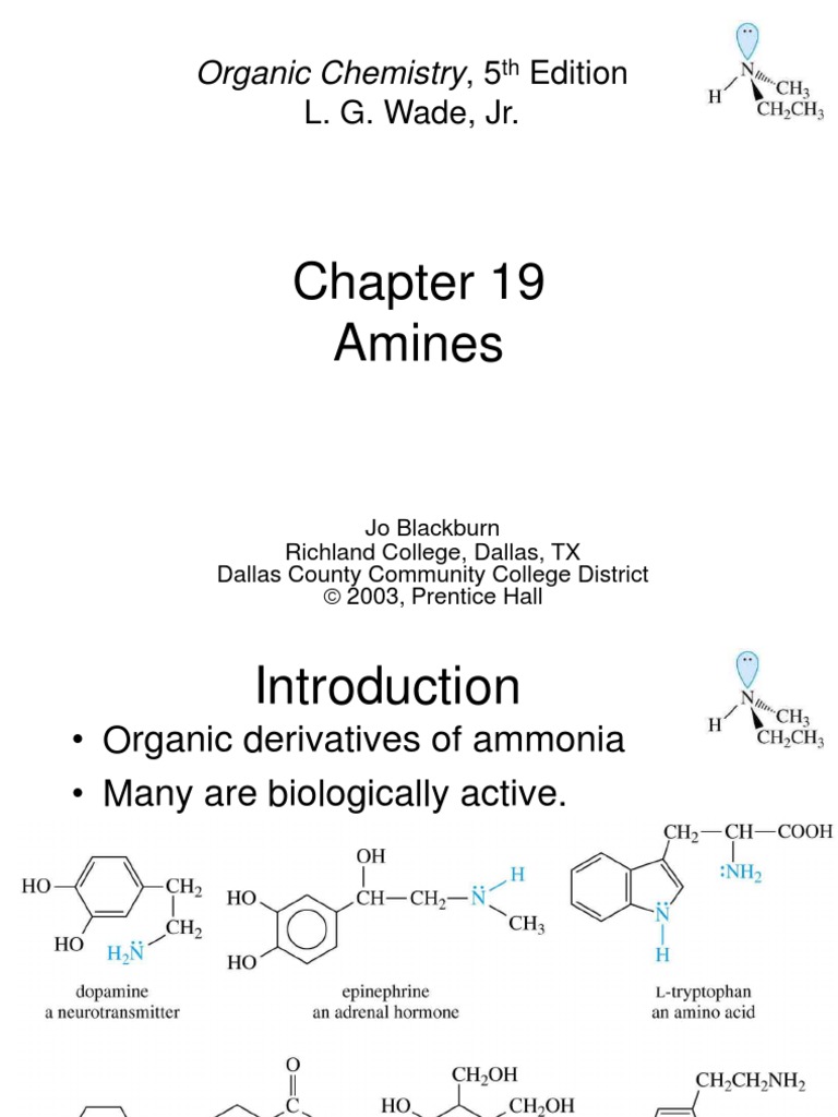 Amines: Organic Chemistry, 5 | PDF | Amine | Molecules
