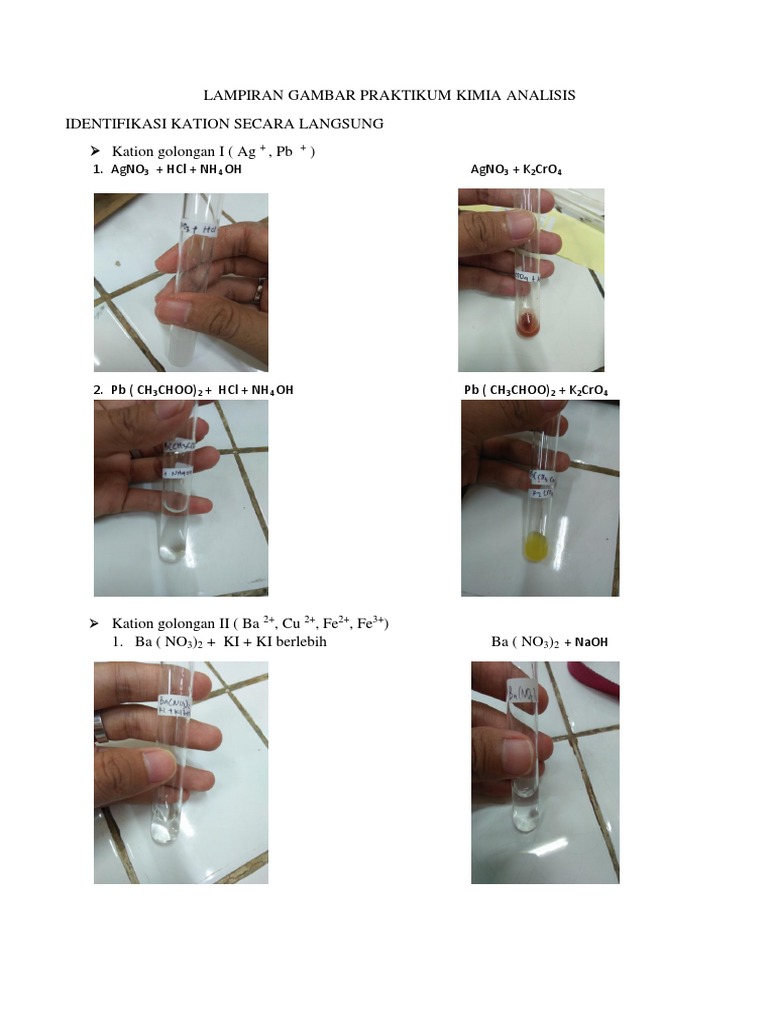 Identification of Cations and Anions Through Direct Testing: A ...
