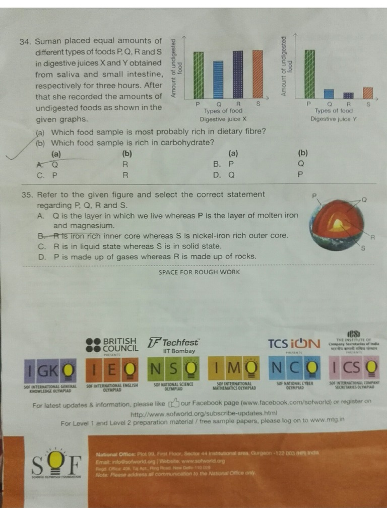 IMO 2018 Class 4 | PDF